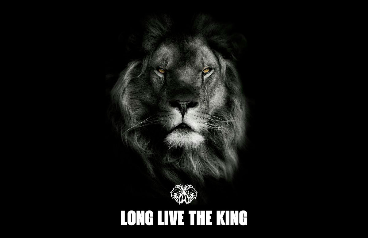 Lionz Co.